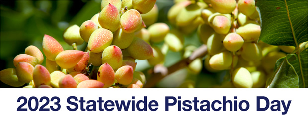 Reminder: APG November 2022 eNews